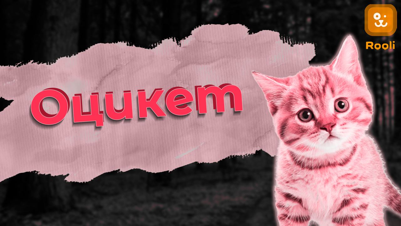 Оцикет кошки: Прекрасные представители кошачьего мира