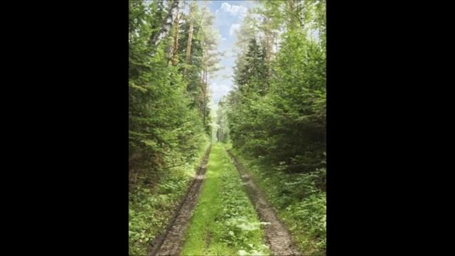 Стихи. Энергия новых Знаний.