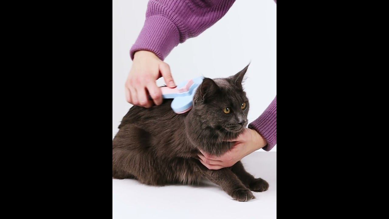 Видеообзор когтеточки с живым котом