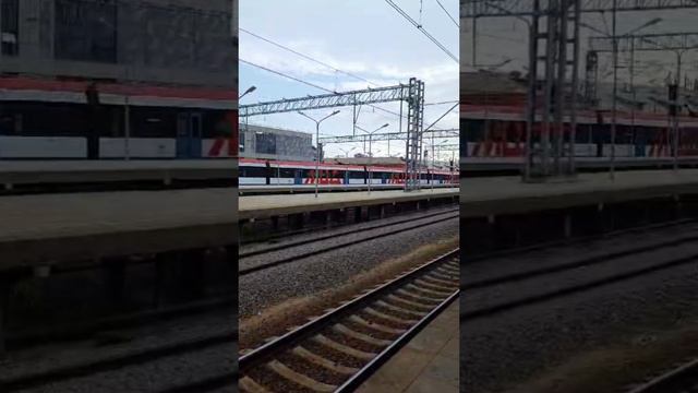 Электрички - Ласточка, Иволга 4.0, ЭД4М, ЭП2Д , ЭП2ДМ. #ласточка #иволга #эд4м #эп2д #эп2дм #поезда