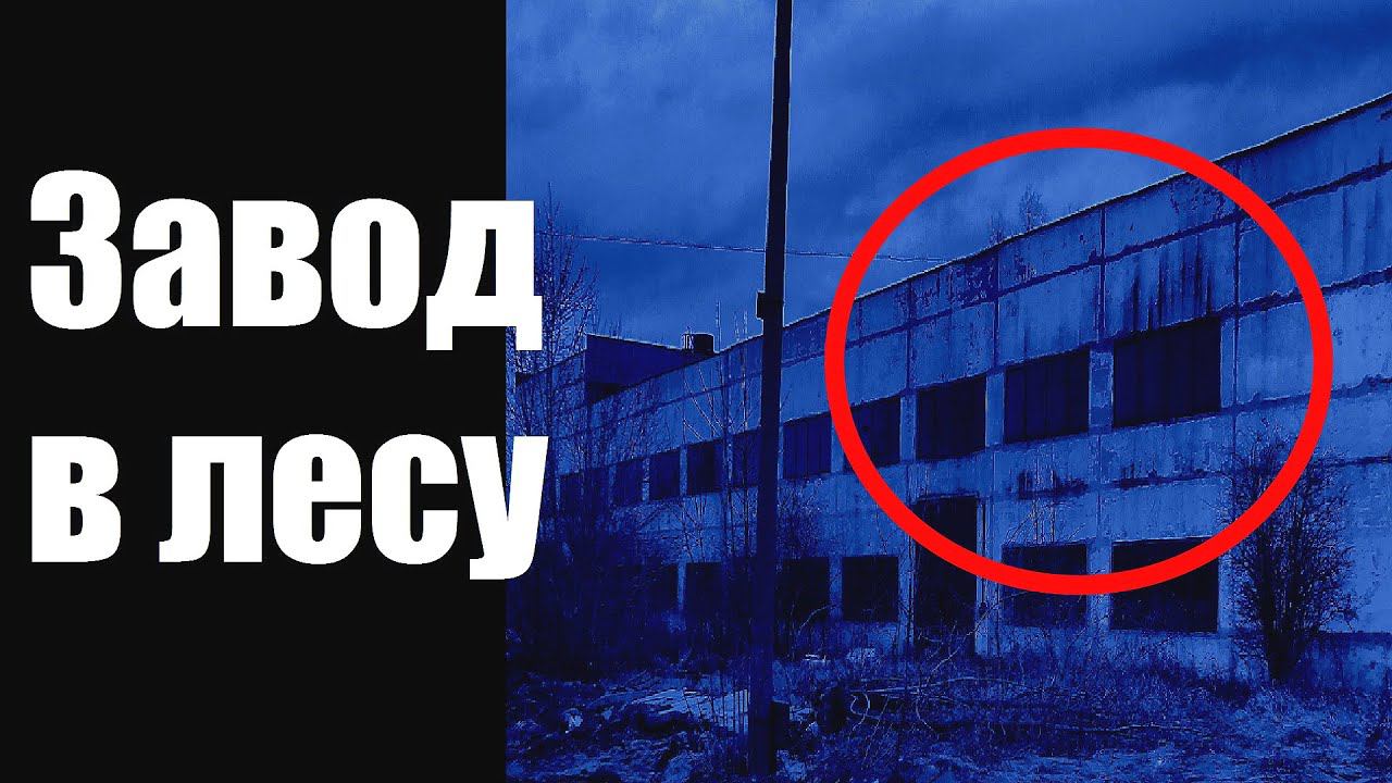 Страшные истории. Завод в лесу.