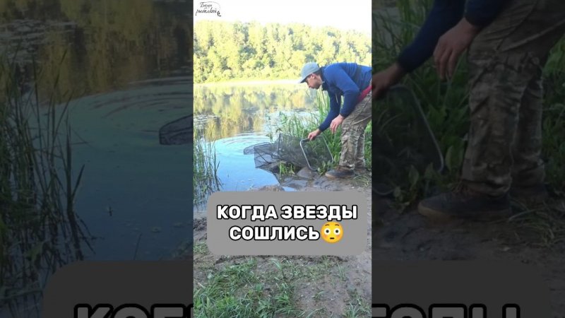 РЫБАЛКА ТОЧНО ЗАПОМНИТСЯ #рыбалка #рек #рекомендации #шортс #фидер #лещ #fishing #fish #рыба