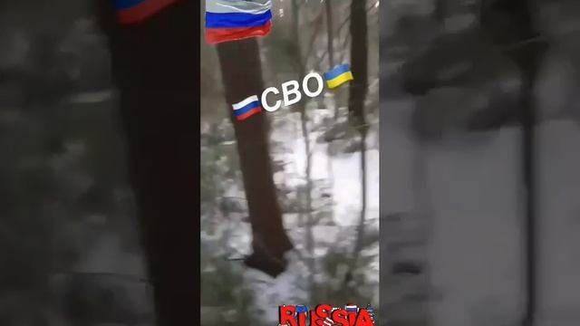Песня «Катюша» в лесах страны 404.
