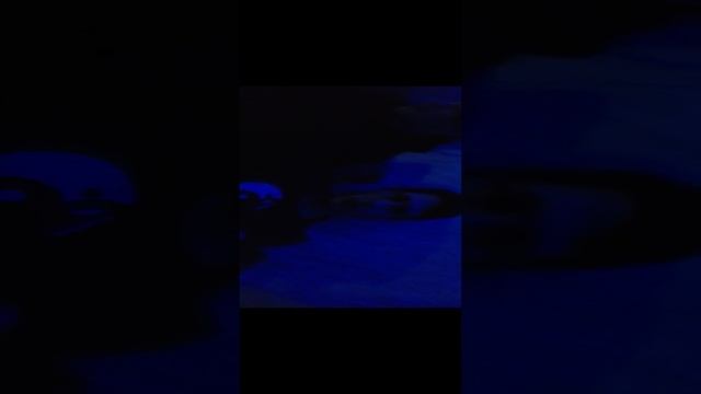 1000001562.mp4