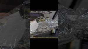 в Волгоград для  Дарьи едет супер мощная колонка с караоке ELTRONIC 20-60 pro