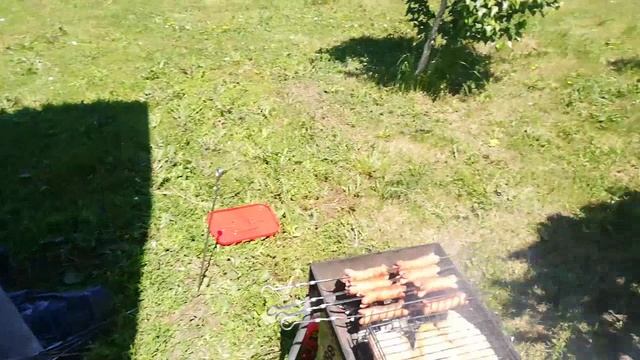 Ч 1 Шашлык из Свинины, Сосиски, Бассет-хаунд Ерофей на БО Кроптово Пензенской области 25 июня 2022 г