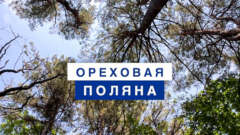 Ореховая поляна в поселке Лазаревское, классное место для фотосессий.