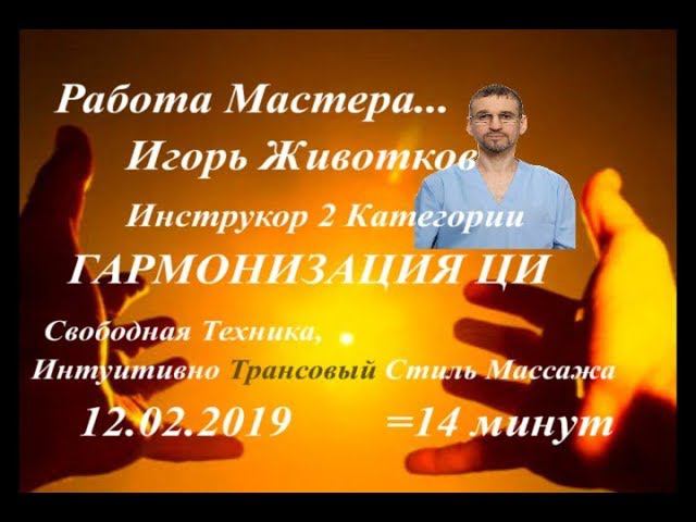 Гармонизация Энергии ЦИ Массажем - Животков Игорь Инструктор Академии Массажа Микулина А.Л.