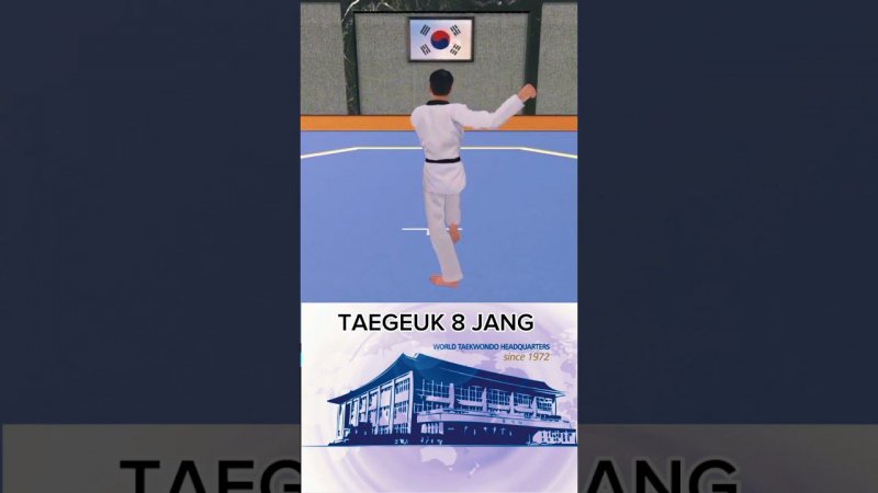 TAEGEUK 8 JANG TAEKWONDO POOMSAE