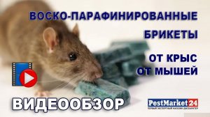 Воско-парафинированные брикеты от крыс и мышей. Средство от грызунов для влажных помещений.