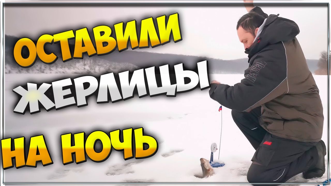 Что будет если поставить жерлицы на ночь?  (Попытка № 1).