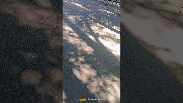 школу номер 36 закрыли забором