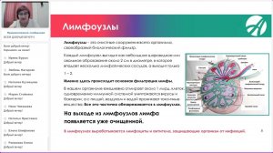 Лимфотек - помощь отекам