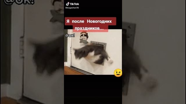 Смешное видео 5 2023