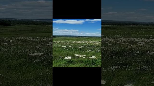 Земляничная горка 25.06.2022