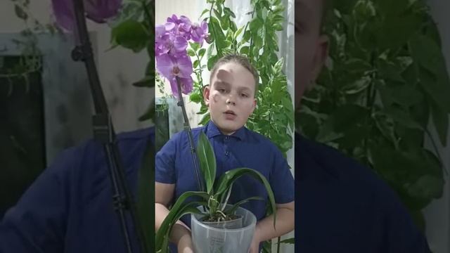 #ВамЛюбимые Чуриков Глеб 2 б класс