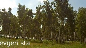 Лекарственные травы. Заготовка и сушка