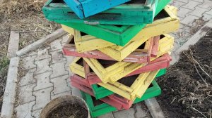 Очень важные работы на пасеке