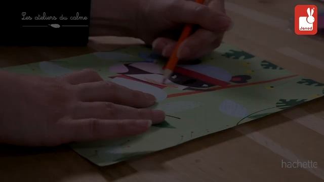 Набор для творчества Janod Любимые зверята декорируем штампами; серия Hachette - J07819