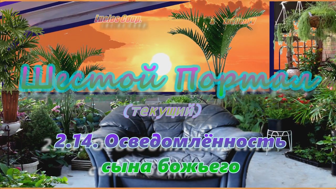 «Шестой Портал (текущий)» 2.14. Осведомлённость сына божьего