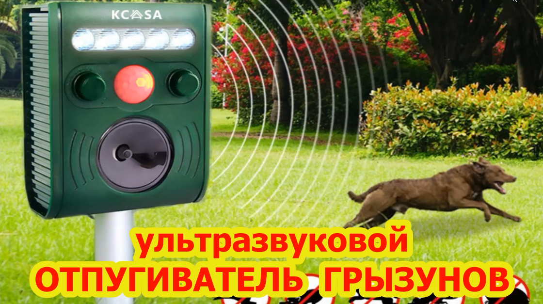 !!! ЗАЩИТА от ГРЫЗУНОВ !!!