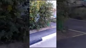 Замри| Пол это лава| Прямые руки| Без ног| Супер игры|