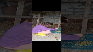 20230724_181326.mp4