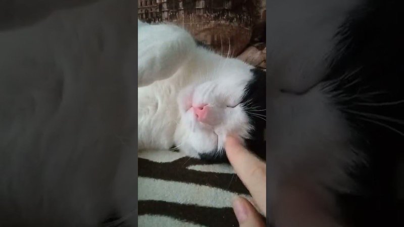 КУЗЯ С ПРИВЕТОМ ДЛЯ ТАТЬЯНЫ!
