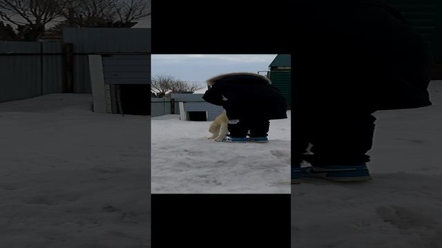 20230305_172553.mp4