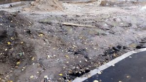 Собачья площадка в сквере на Набережной. Благоустройство на Б.Набережной,25