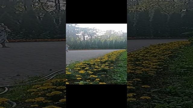 курортный город Зеленогорск