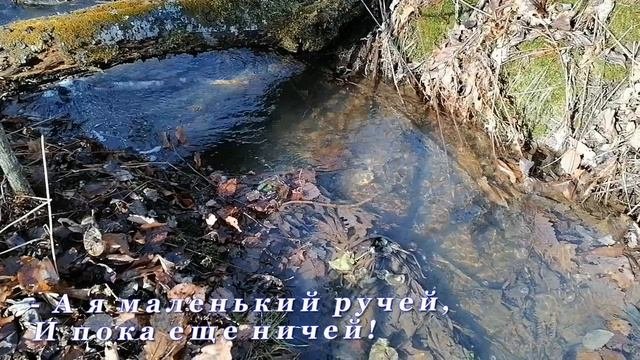 Ручеёк, куда бежишь? Ты так весело журчишь!