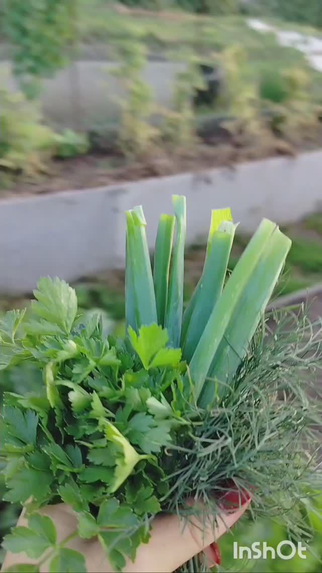 ОБЯЗАТЕЛЬНО КУПИТЕ КАЗАН НА ДАЧУ #shorts #shortvideo