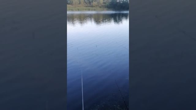 РЫБАЛКА