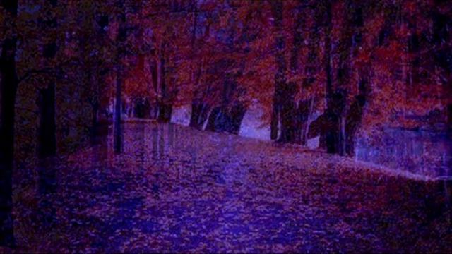 Moleskin's beer nonsense  - Autumn grief