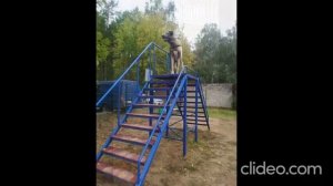 Кто ищет, тот всегда найдет))) Нашли рядом такое сокровище)))