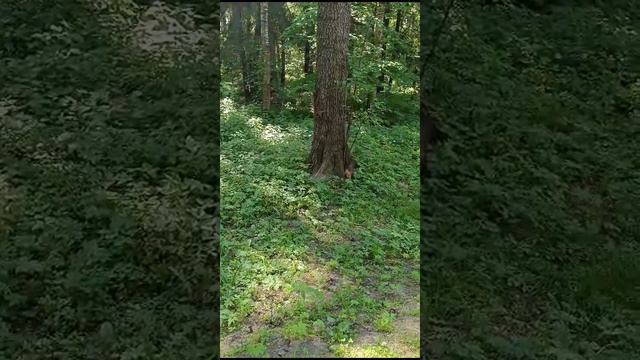 1000253883.mp4
