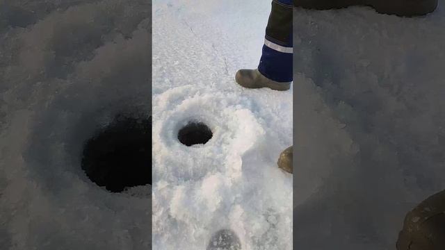Щука на жерлицу