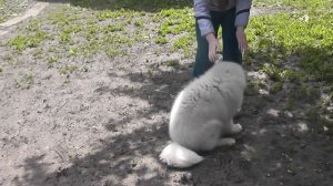 СаммоЕжжик 4 месяца