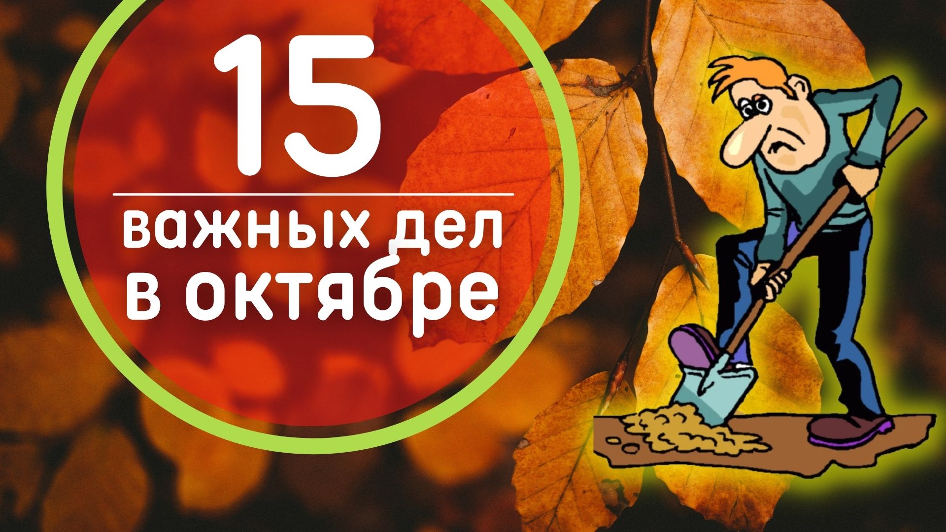 Что делать в октябре ? 15 самых важных дел в саду и огороде