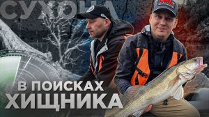 В ПОИСКАХ ХИЩНИКА. Увеличил свой рекорд по судаку. Рыбалка в июле на Сухоне.