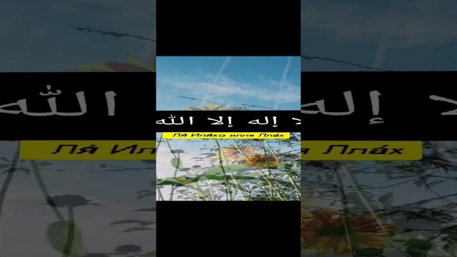 Пророк Мухаммад ﷺ сказал...
