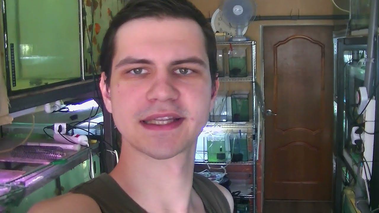 Поработал с тернешкой. Продал Дискусов.