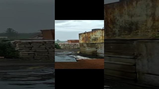 Летний дождь.