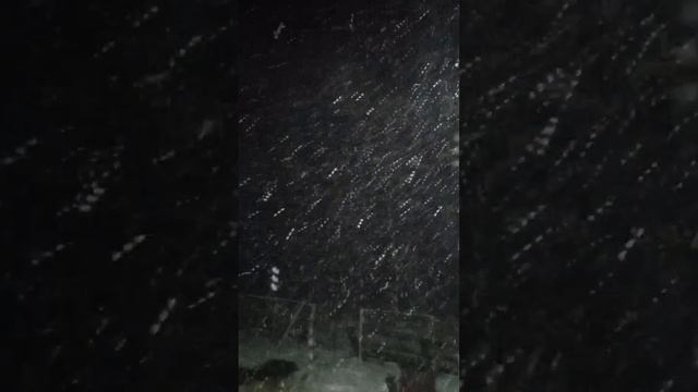 зима_снегопад.mp4.mp4