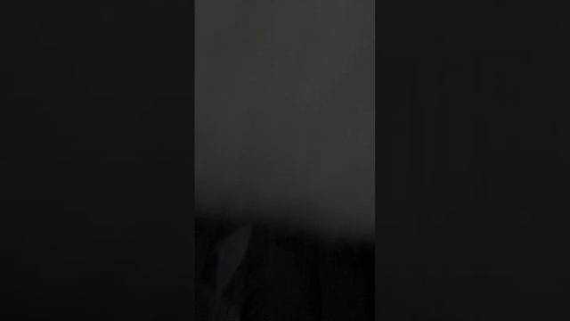 обзор на домик моего кота