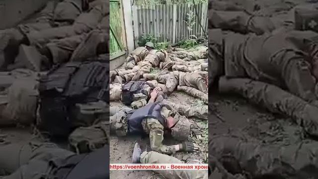 Военная хроника Спецоперация РФ