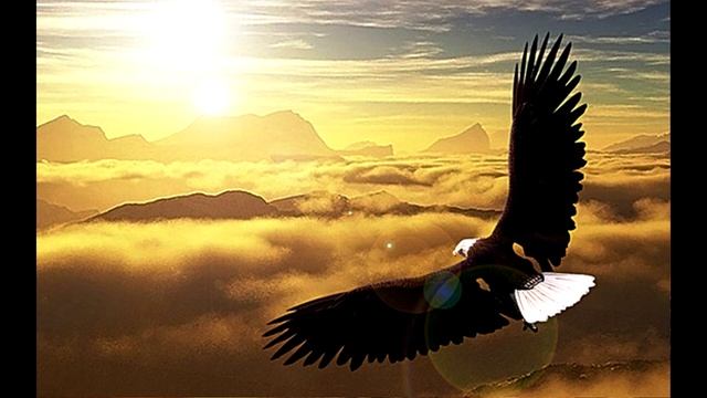 Библия. 19-07. Книга Иудифи (07). На другой день Олоферн приказал всему войску.