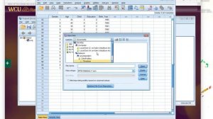 Using RamCloud to Open SPSS Files