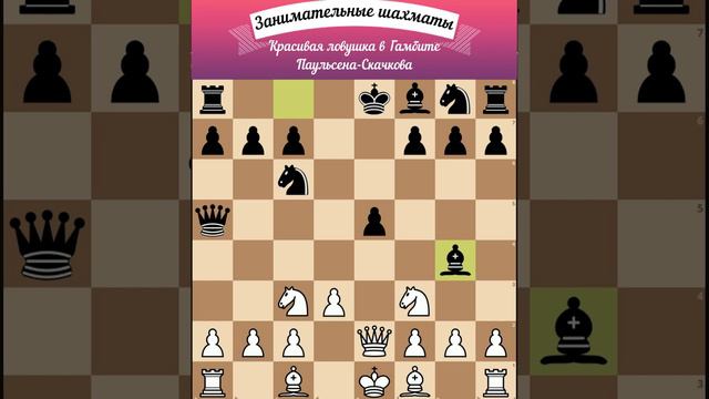Красивая ловушка в Гамбите Паульсена-Скачкова